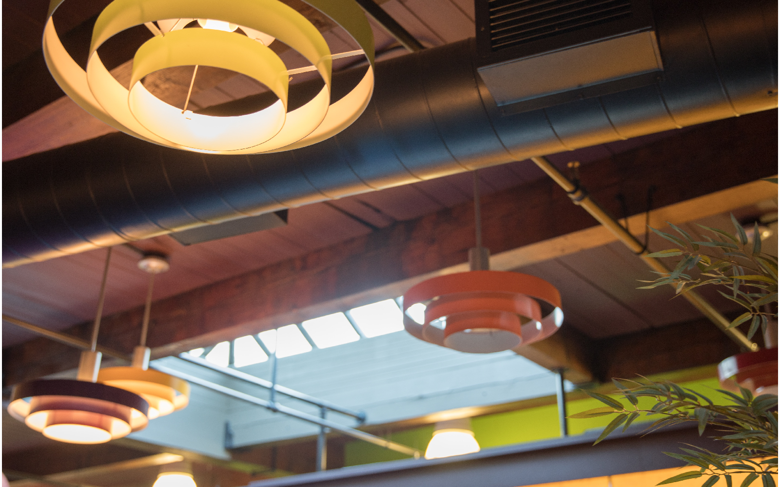 Creativity Meets Accessibility - Pinckney Hugo Group